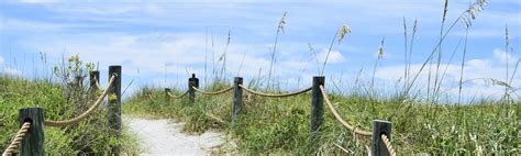 About Carole Kunkle Miller Phd Wellness Coaching Pittsburgh Pa