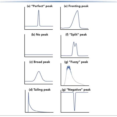 Understanding Hplc Peak Distortions A Guide For Analysts Sarang