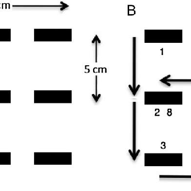 A Schematic figure illustrating the Â array of rectangular Download Scientific Diagram