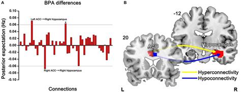 Significant Effective Connectivity Between The Group Level Among Rois