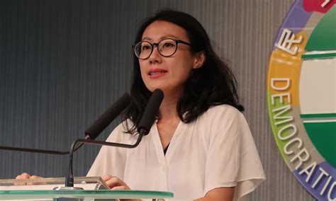 與時力、台灣基進合作 民進黨不提名3選區