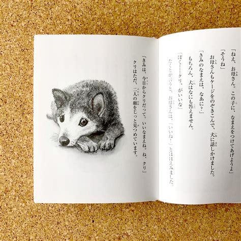 絵本『きみのなまえ』【第52回お話を絵にするコンクール選定図書】【2022年 新潟県 読書感想文コンクール課題図書】（佼成出版社） ぼくぱぐ工房