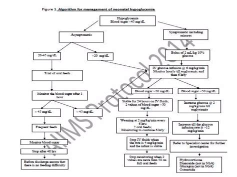 Neonatal Hypoglycemia Arif Pptx