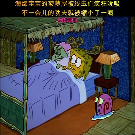 海绵宝宝的菠萝屋被线虫们疯狂吮吸，不一会儿的功夫就被缩小了一圈 关注我每天持续更新 海绵宝宝的菠萝屋被线虫们疯狂吮吸，不一会儿的功夫就被