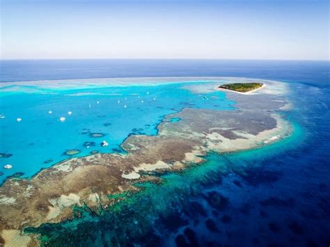 Day Tours Bundaberg Great Barrier Reef Lady Musgrave Island