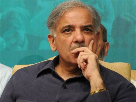 Rana Sanaullah Denies Shehbaz Will Be Pml Ns Candidate For Pms Slot