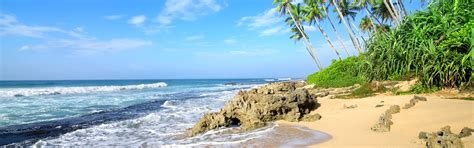 Wallpaper Palm Trees Beach Sea Waves Rocks 5120x2880 Uhd 5k Picture