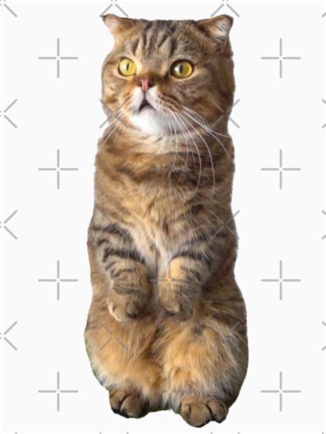 Cute Lulu Standing Kittisaurus T Shirt By Aestheticart12 Redbubble