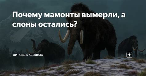 Почему мамонты вымерли а слоны остались Цитадель адеквата Дзен