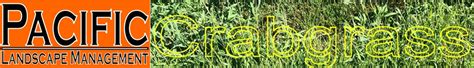 Crabgrass Prevention Recommended