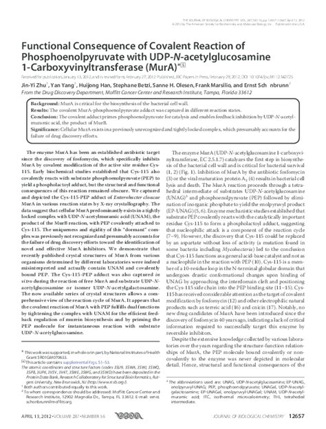 Pdf Functional Consequence Of Covalent Reaction Of Phosphoenolpyruvate With Udp N