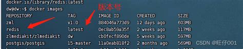 Docker运行redisdocker Run Redis Csdn博客
