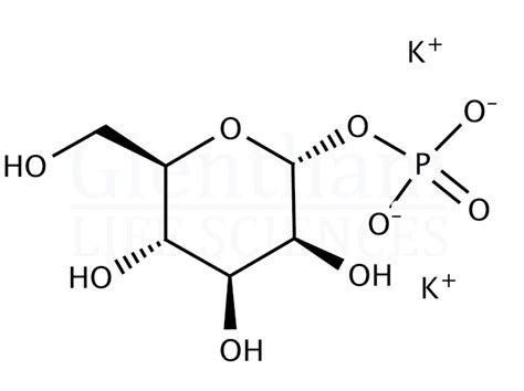 α D Mannose 1 Phosphate Dipotassium Salt Cymitquimica