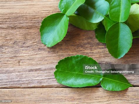 Daun Jeruk Nipis Kaffir Hijau Segar Atau Bergamot Pada Papan Kayu Tua