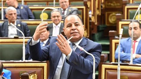 وزير المالية 127 7 مليار جنيه لدعم السلع التموينية و14 1 مليار للتأمين