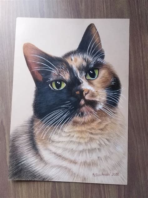 Portret kota KOT obrazek a ręcznie malowany Rybnik Kup teraz na Allegro Lokalnie