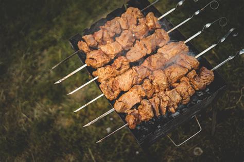 낮에는 뒤뜰에서 훈제 돼지고기를 곁들인 바비큐를 손으로 굽는 남자 가족 저녁 식사 야외 스타일 바베큐 활동 0명에 대한 스톡 사진 및 기타 이미지 Istock