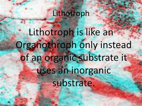 Ppt Bacterial Metabolisms Powerpoint Presentation Free Download Id