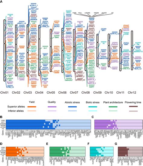 北京科技大学生物农业研究院