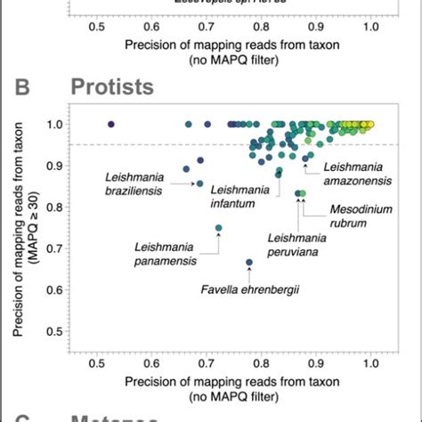 species specific impact of mapq filtering precision of read mapping