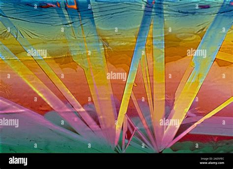 Light Micrograph Lm Of Penicillin Crystals Penicillin Is The First