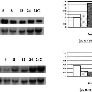 Inverse Relationship Between Expression Of Defense Genes And Cell Cycle