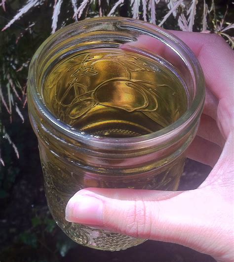 Stinging Nettle Frequently Asked Questions Faq