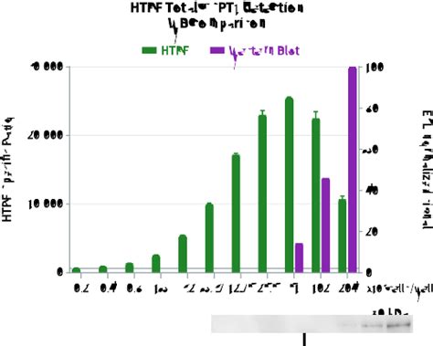 Htrf Human Total Gspt1 Detection Kit 500 Assay Points Revvity