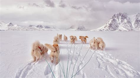 Fostering A Culture Of Belonging In The Hybrid Workplace Harvard Business Review 50 Comments