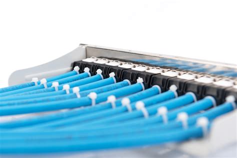 Digitus By Assmann Shop Modular Patch Panel 12 Port