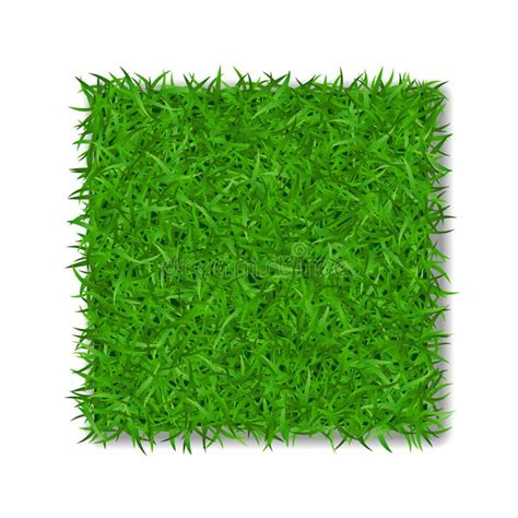 Grass Square 3d Beautiful Green Grassy Field Isolated On White Background Lawn Abstract