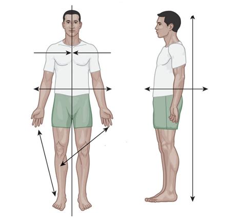 Cpt 7 Practice Test Set Diagram Quizlet
