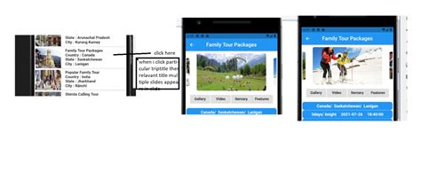 How To Create Image Slider Dynamically Using Api Data In Flutter