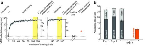 Measuring Temporally Volatile And Temporally Persistent Components Of