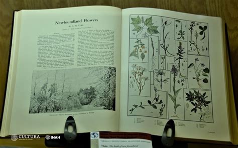 La Enah Exhibe 43 Libros Del Fondo Bibliográfico “josé Toribio Medina
