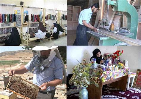 ثبت‌نام از متقاضیان مشاغل خانگی شروع شد رئیس دبیرخانه ستاد ساماندهی و