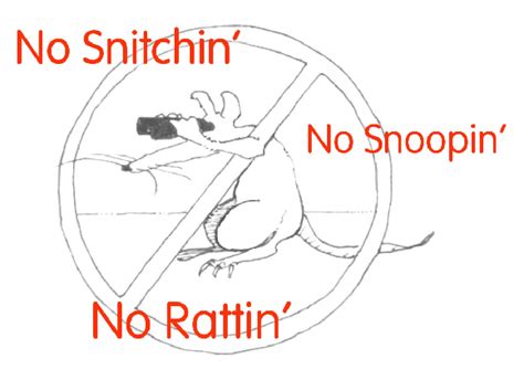 Rats Your Guide To Protecting Yourself Against Snitches Informers