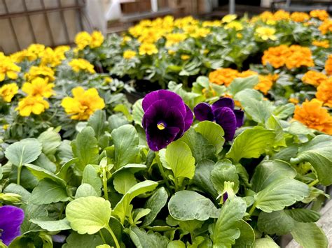 Strack And Van Til Added A New Photo Strack And Van Til