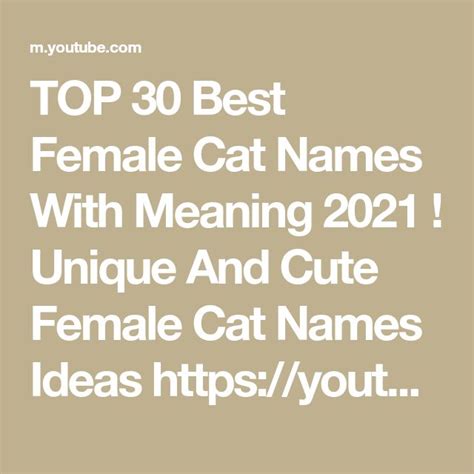 TOP Best Female Cat Names With Meaning Unique And Cute Female Cat Names Ideas Https