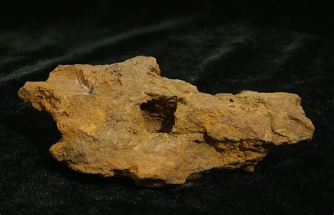Pseudofossils Inorganic Objects Markings Or Impressions That