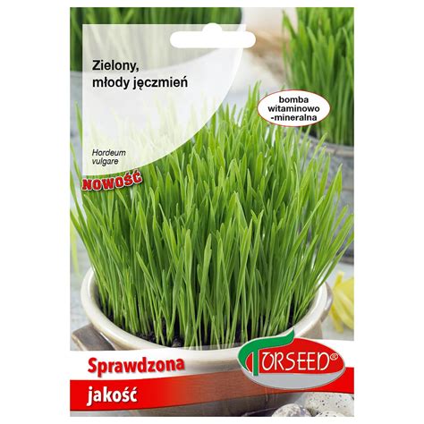 Zielony Jęczmień nasiona g TORSEED sklep RajOgrodnika pl