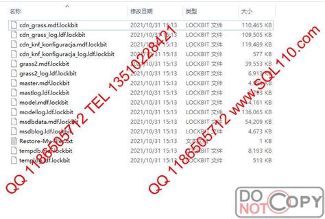 Lockbit勒索病毒解密 服务器中勒索病毒解密 数据库中lockbit勒索病毒解密