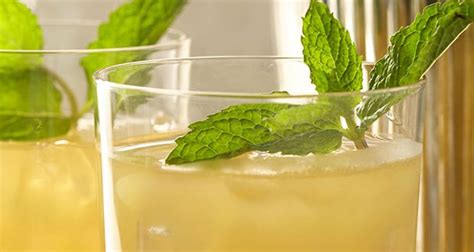 Suco de Abacaxi Hortelã Emagrece Receitas e Dicas MundoBoaForma br