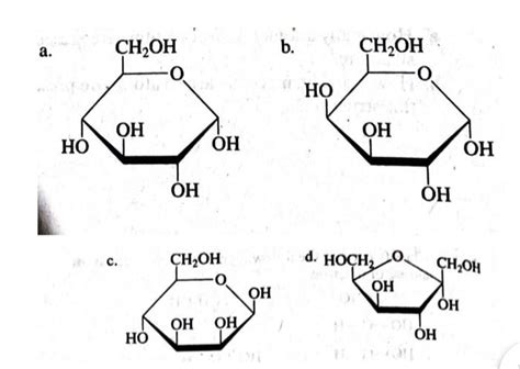 Solved 88 Draw The Open Chain Form For Each Of The