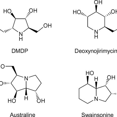 Structures Of Some Representative Iminosugars With Inhibitory Ability