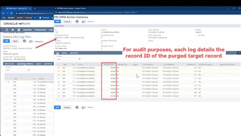 developing and implementing data management strategies in netsuite a