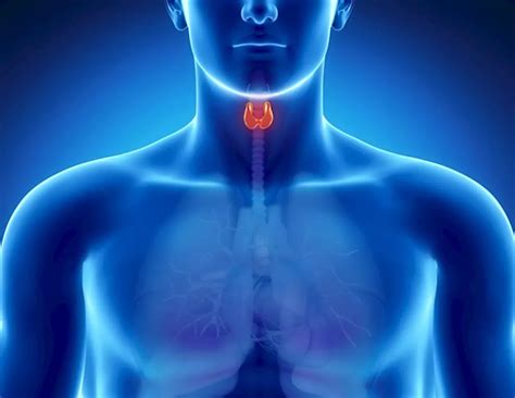 Review Clinical Management Of Thyroid Nodules With Atypia Of