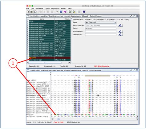 Ezeditor2 Working With 16s Rrna Sequences Ezbiocloud Help Center