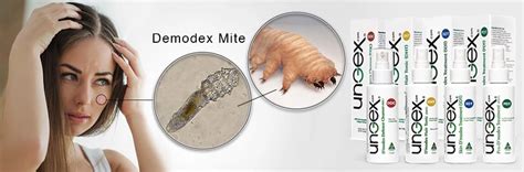 Demodex Mite Treatment Ungex Ungex Demodex Treatment