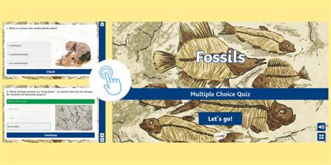 Fossils Multiple Choice Quiz Teacher Made